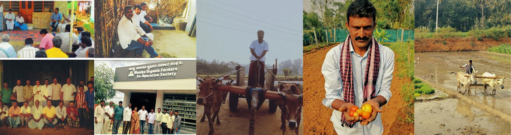 The Organic Mandya Story