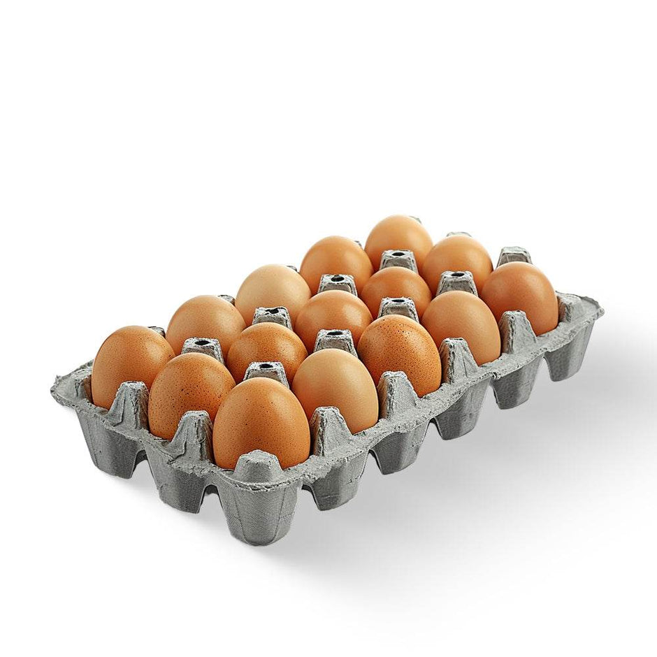 a2-dairy-products