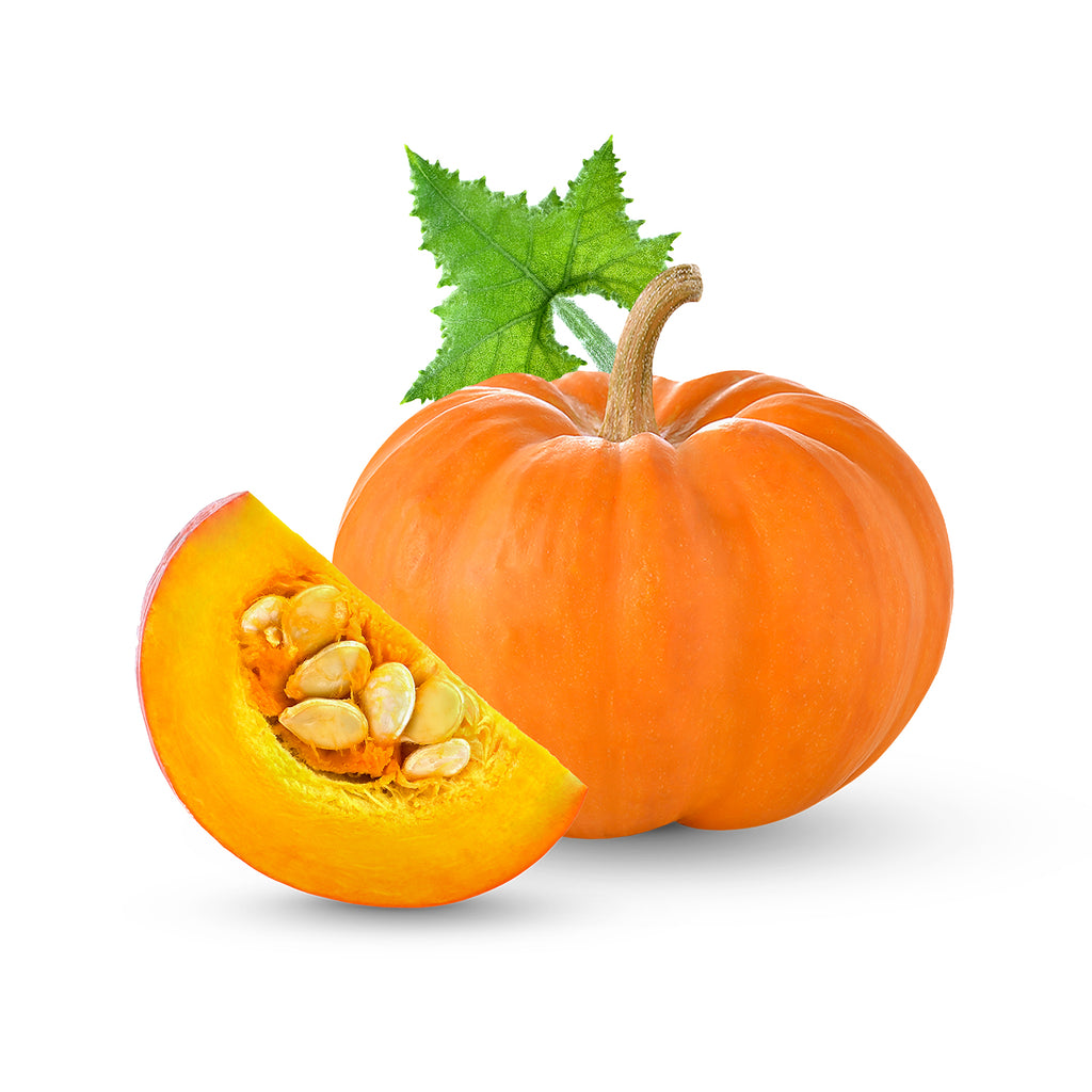 Organic Pumpkin Disco | Kumbalakai Disco | Sweet Pumpkin