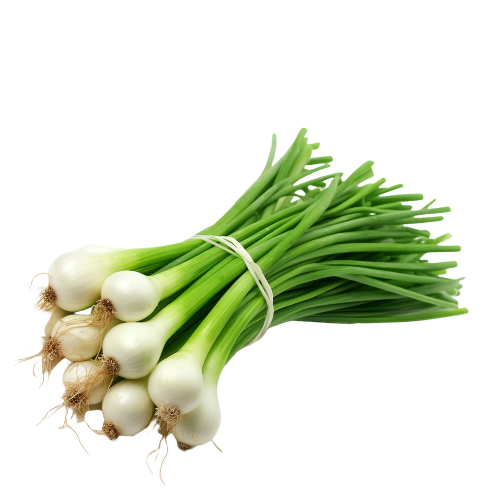 Organic Spring Onion | Eruli Soppu for Flavorful Dishes