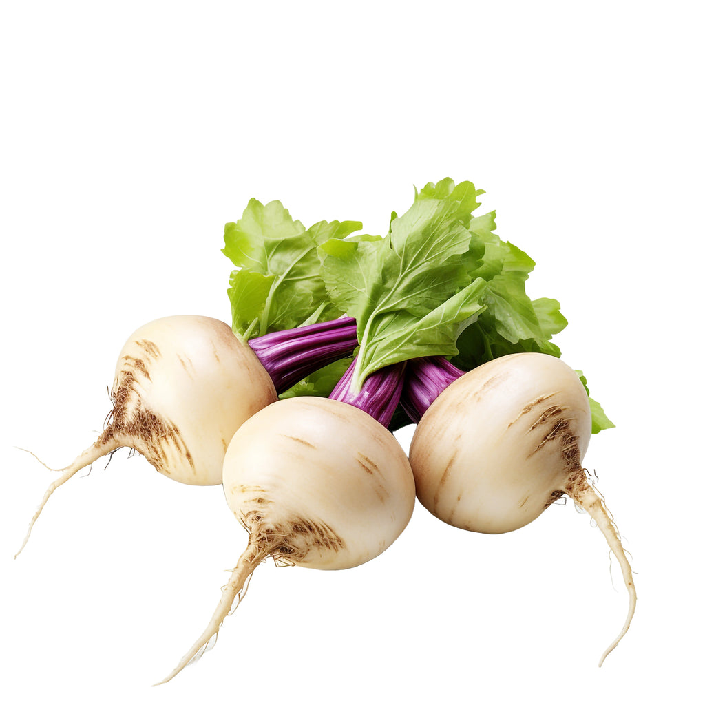 Navilukosu Turnip | Unique & Crisp Vegetable